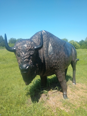 Official Website for the City of Ennis, Texas - Kachina Prairie